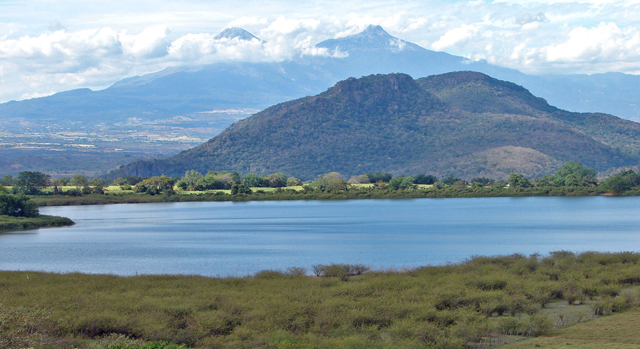 Pihuamo