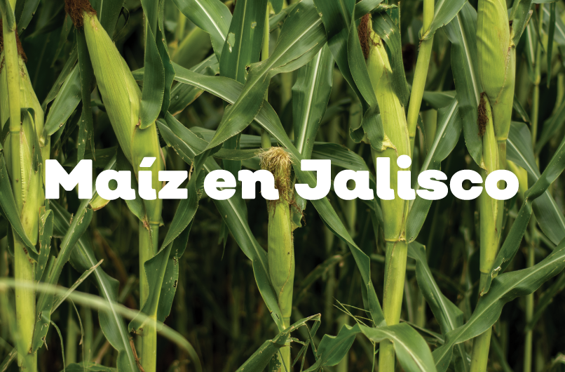 Secretaría de Agricultura y Desarrollo Rural