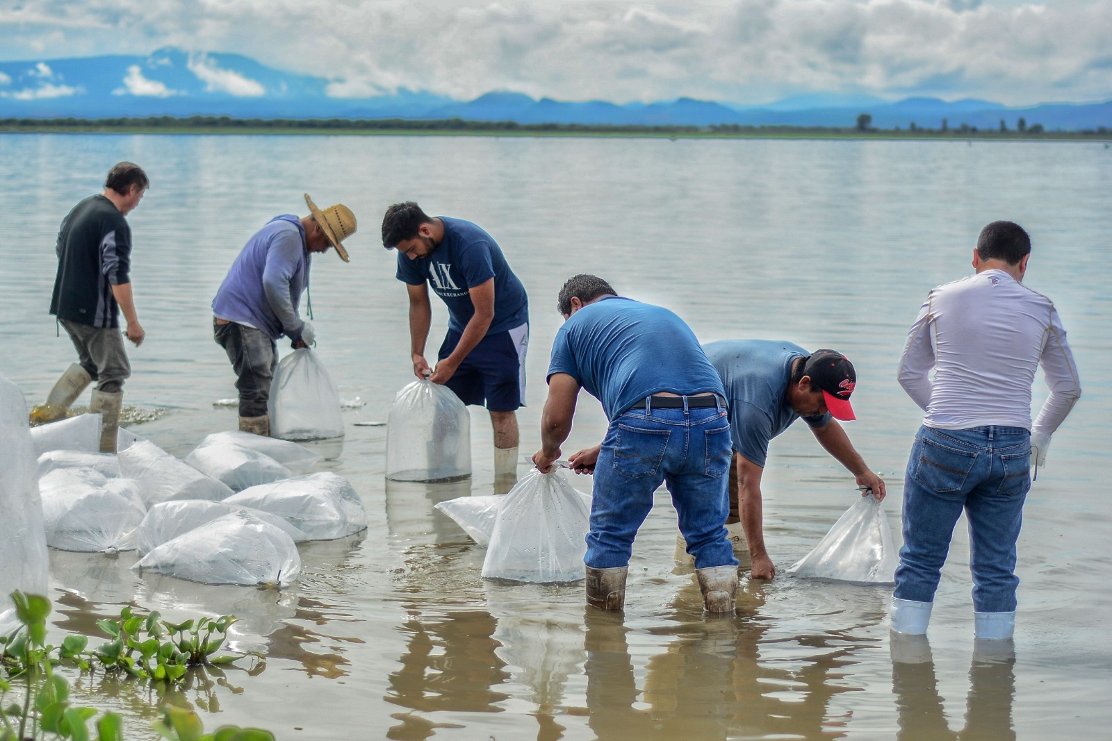 Secretaría de Agricultura y Desarrollo Rural