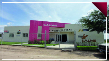 Instituto Jalisciense de Salud Mental