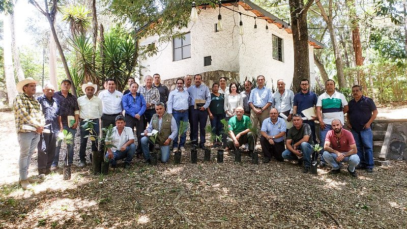 Medio Ambiente y Desarrollo Territorial