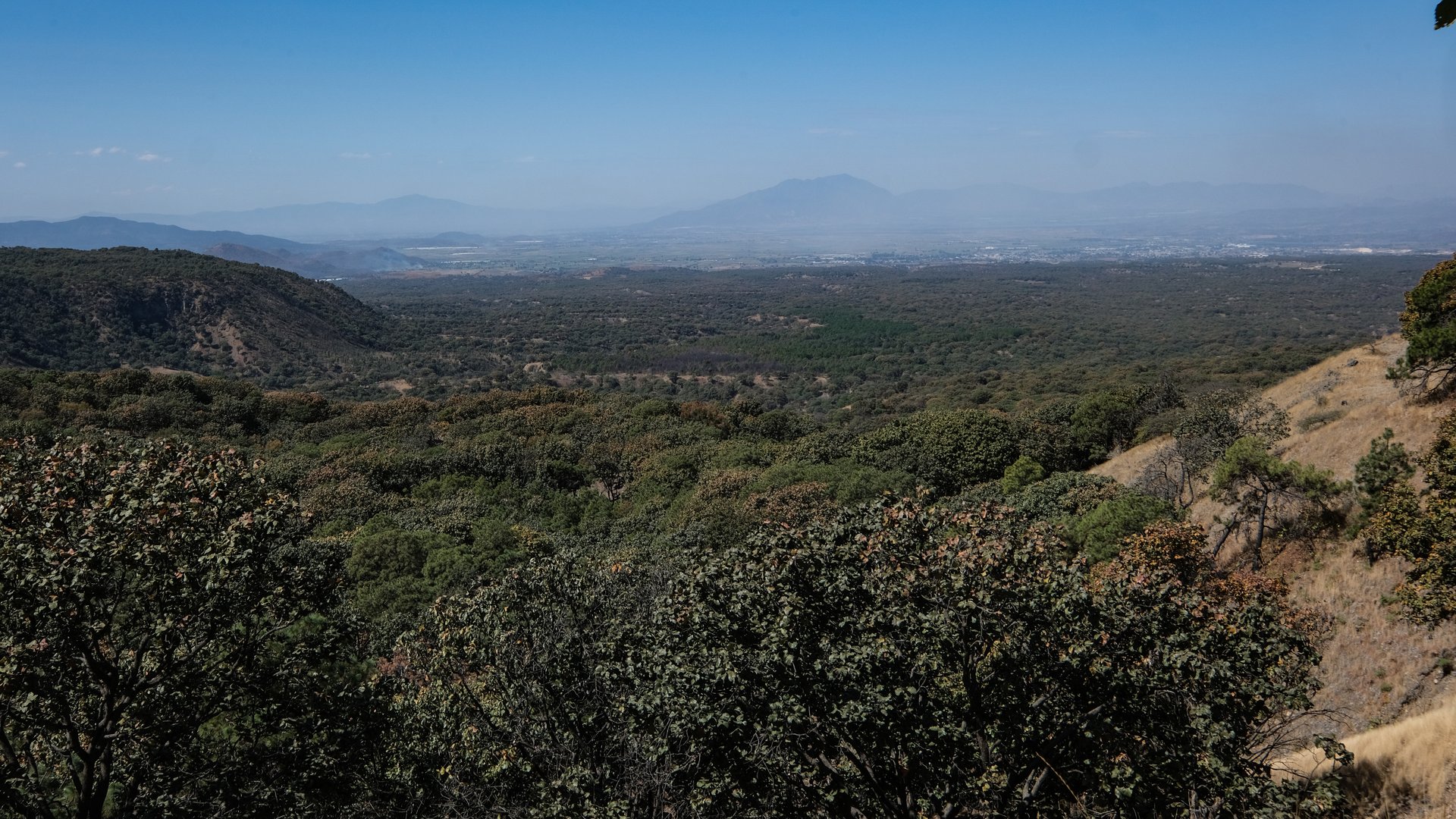 Medio Ambiente y Desarrollo Territorial