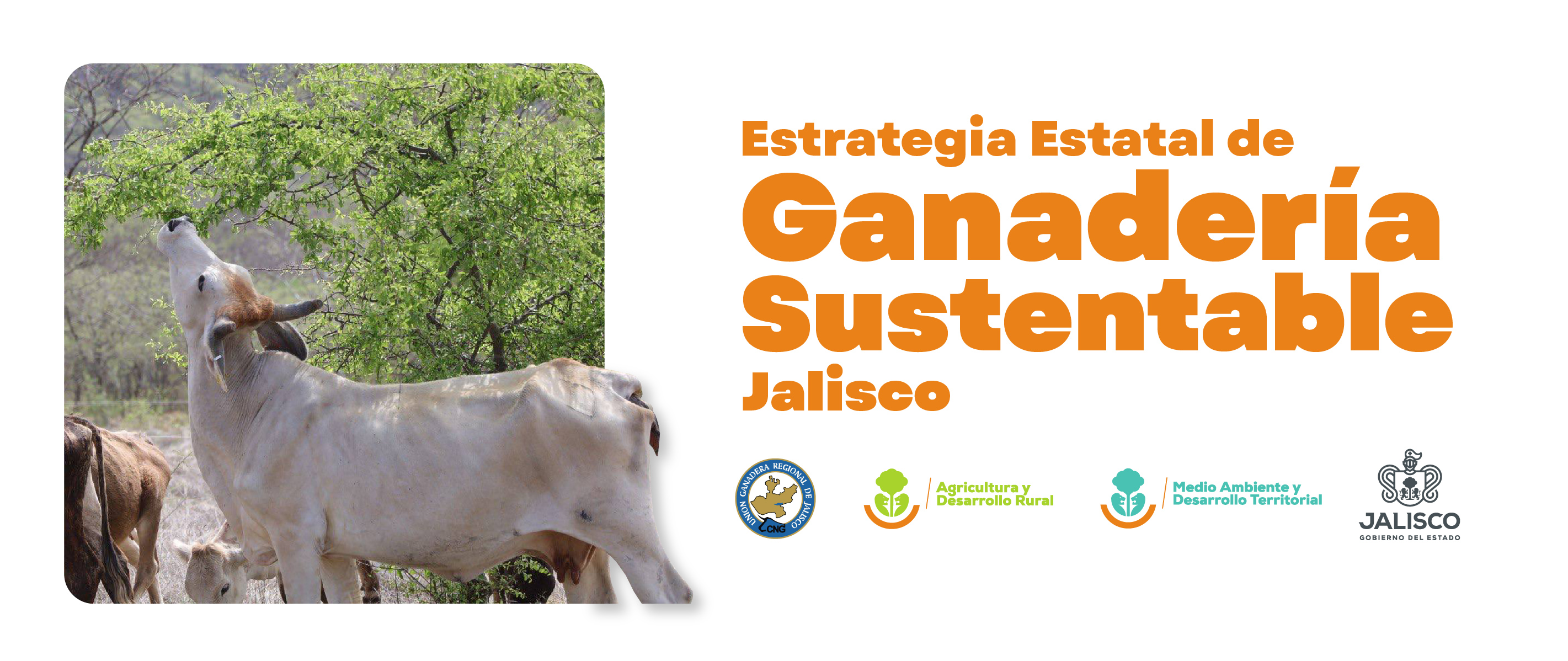 Medio Ambiente y Desarrollo Territorial