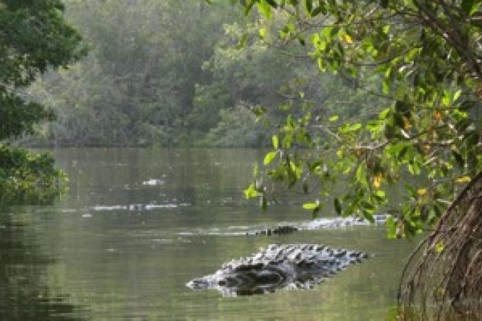 Medio Ambiente y Desarrollo Territorial