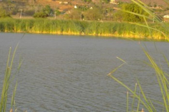 Medio Ambiente y Desarrollo Territorial