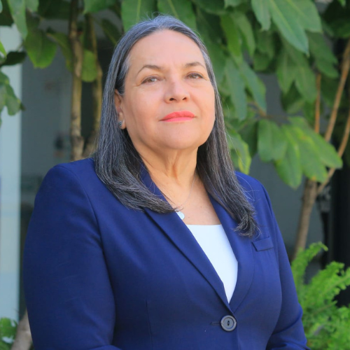 Secretaría de Inteligencia y Búsqueda